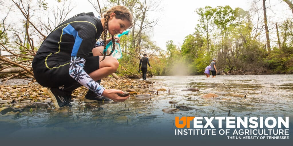 Support UT Extension and Help Tennesseeans Thrive